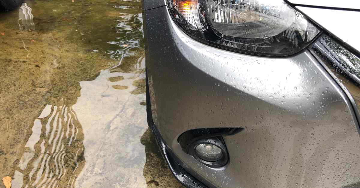 Truck Driver Helps Older Woman Reach Car On Flooded Street In ...