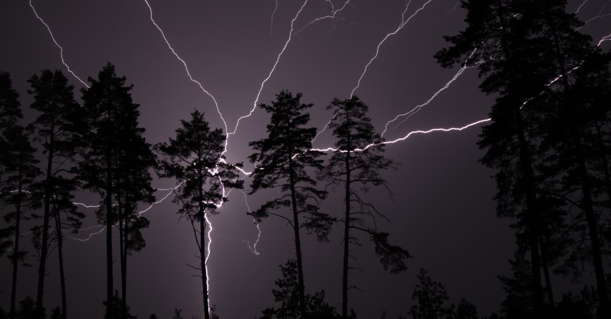 Watch Mighty Lightning Bolt Strike Tree Next To House and See What ...