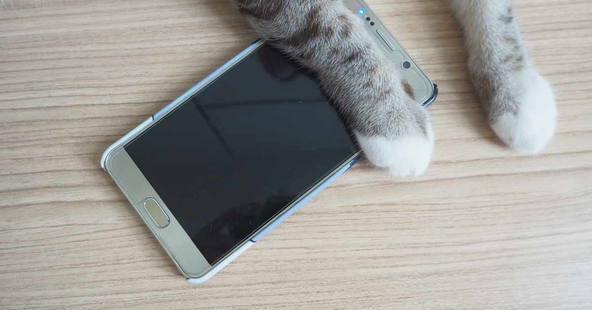 Kitten Playing Video Game On Phone Is Just Too Adorable - TurboFuture